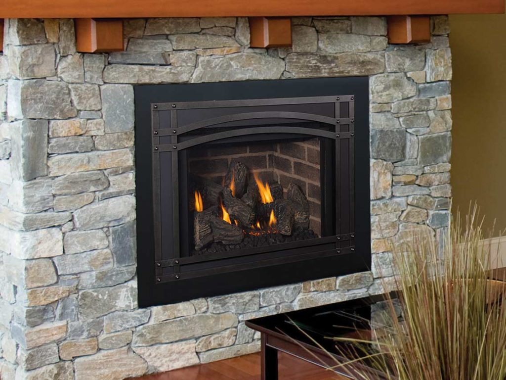Fireplace Inserts - IronStrike