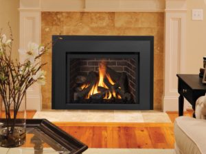 Fireplace Inserts - IronStrike