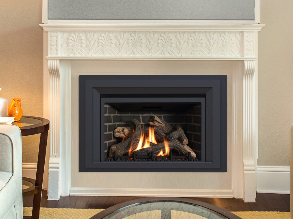 Fireplace Inserts - IronStrike